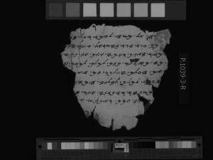 Paleo-Leviticus, 11Q1 – Dead Sea Scrolls: The Exhibition at the ronald ...