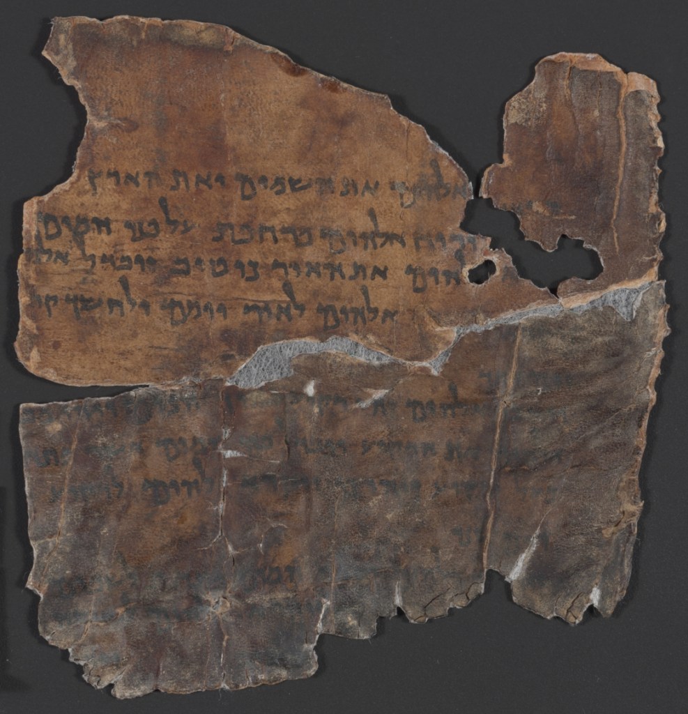 GENESIS, 4Q7 – Dead Sea Scrolls: The Exhibition at museum of the bible ...